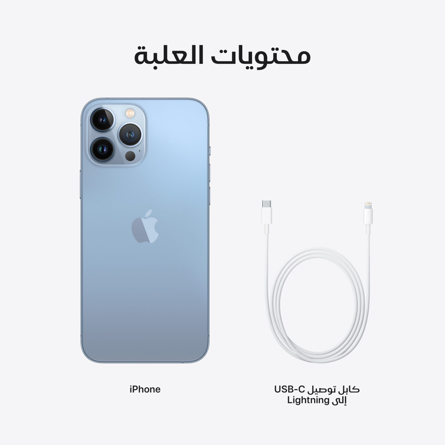 Buy Apple IPhone 13 Pro Max 256GB Sierra Blue With The Lowest Prices 